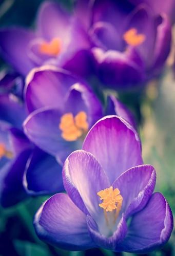 Laura Samuel Obituary (1958 - 2025) - Apopka, FL - 352 Today