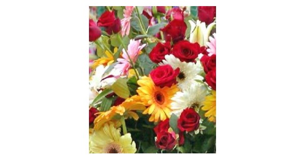 Susan Hutchison Obituary (1944 - 2025) - Arden, NC - 828 News Now