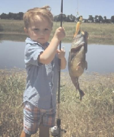 Hudson Holt Obituary - Death Notice and Service Information