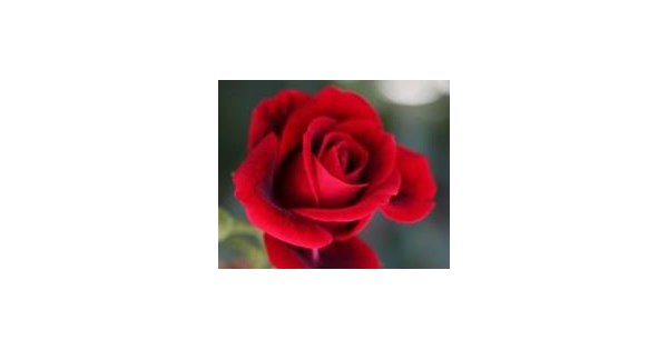 MARY UHRIG Obituary (1925 - 2017) - Dallas, TX - El Paso Times