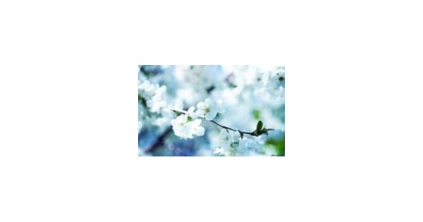 Catherine Neely Obituary (1921 - 2016) - Alpharetta, Ga, MS - Anchorage ...