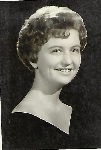 Arlene Miller Obituary - Death Notice and Service Information