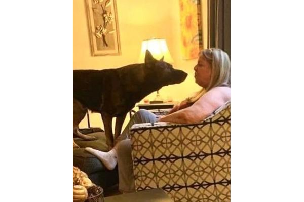 Kimberly Sherman Obituary (2020) - 63, Keyport, NJ - Asbury Park Press
