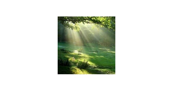 Timothy Daniels Obituary (1971 - 2024) - Legacy Remembers