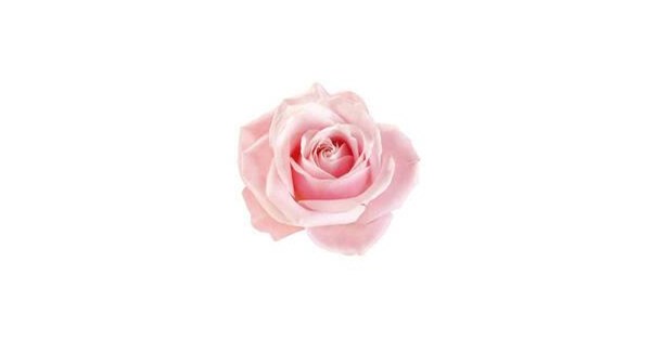 Nita Martin Obituary (2023) - Hillsville, VA - Vaughan-Guynn-McGrady ...