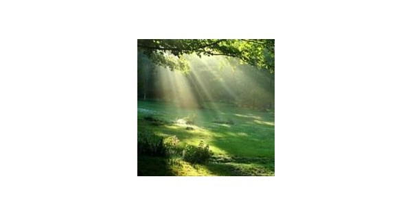 Charles Nichols Obituary (1940 - 2022) - Legacy Remembers