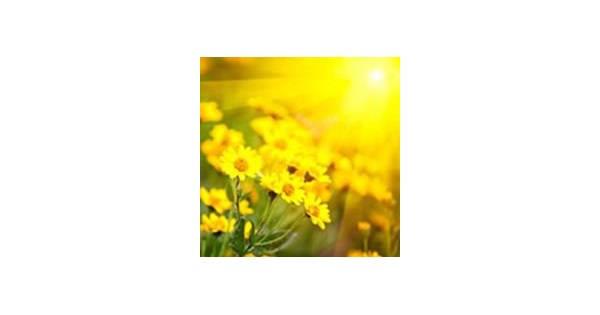 Marcia Pippin Obituary (2026) - Cookeville, TN - Whitson Funeral Home ...