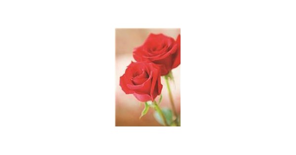 Travis Watkins Obituary (2019) - 1/11/1948, FL - The West Volusia Beacon