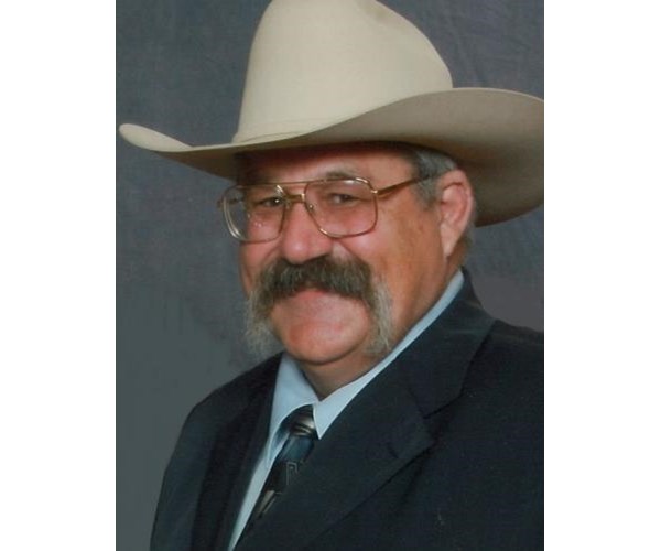 Patrick H. Lause Obituary (2018) - Fremont, MI - Big Rapids News