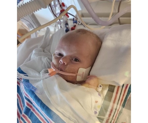 Emmett Goodfellow Obituary (2022 - 2022) - Waterford, MI - Big Rapids News