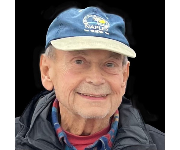 Daniel Hill Obituary (1944 - 2025) - Orchard Park, NY - Buffalo News