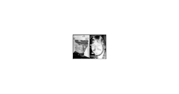 Robert Bebout Obituary (2013) - Canton, OH - The Repository