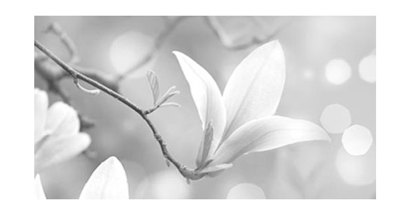 Richard Michalek Obituary (2022) - Orland Park, IL - Chicago Sun-Times