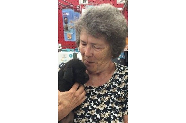 Kathy Hayes Obituary (1942 - 2018) - Fort Collins, CO - the Fort ...