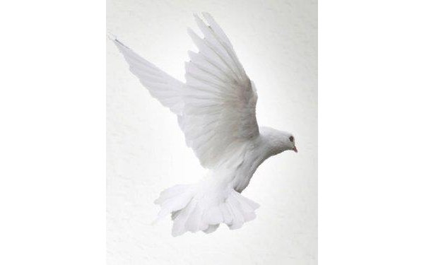 Mary Harrell Obituary (1939 - 2025) - Columbia, SC - Post and Courier ...