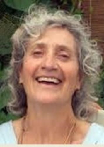 Thea Tenenbaum Obituary (1948 - 2019) - Boulder, CO - The Daily Camera