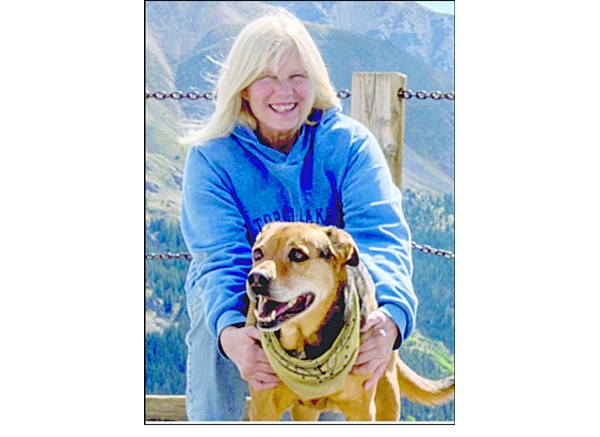 Sharon Medwid Obituary (2016) - West Bloomfield Twp, MI - Daily Tribune