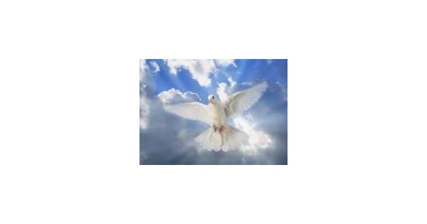 Constance White Obituary (2017) - Legacy Remembers