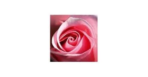 Dorothy "Dot" Winningham Obituary (1932 - 2010) - Legacy Remembers
