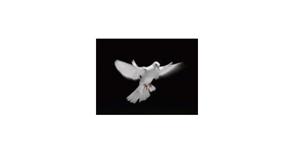 Stanley Reuben Obituary (1958 - 2011) - Legacy Remembers