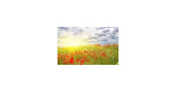 Lisa Tedder Obituary (1961 - 2015) - Legacy Remembers