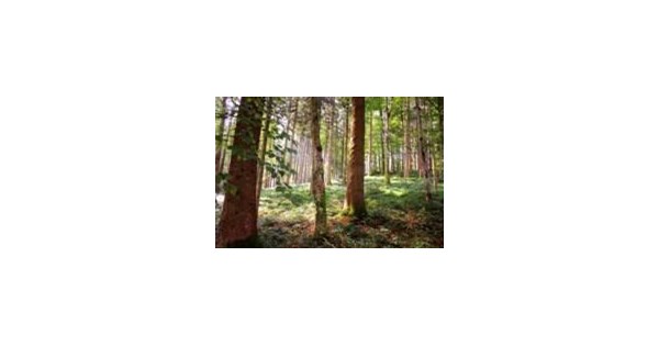 Joseph Salvato Obituary (1929 - 2016) - ., NY - The Journal News
