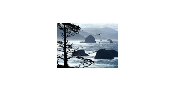 NORA M. CHAPMAN Obituary (1914 - 2012) - Legacy Remembers