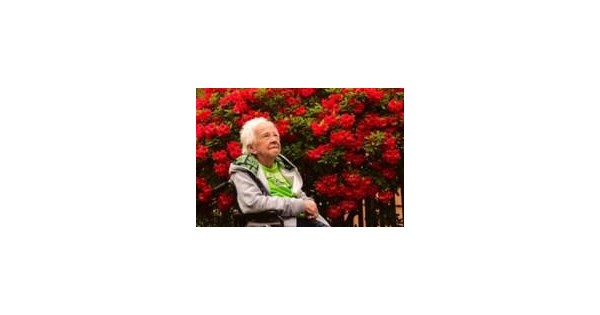 Diane Pape Obituary (1941 - 2019) - Legacy Remembers