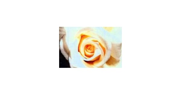 Lillian Yates Obituary (1925 - 2016) - Legacy Remembers