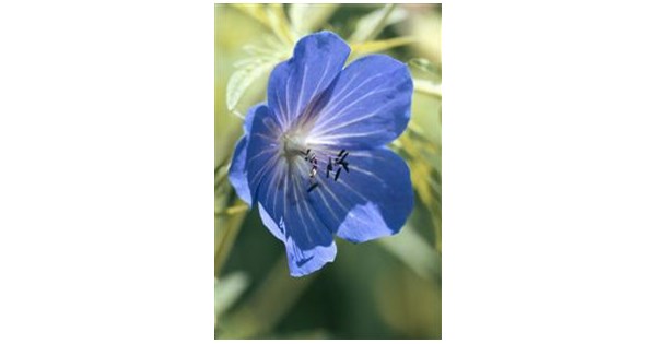 Barbara Snider Obituary (1927 - 2011) - Legacy Remembers