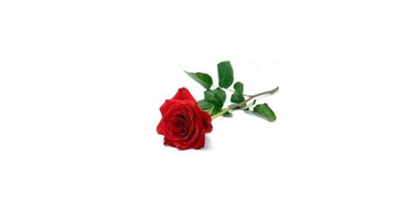Vailala Vaitautolu Obituary (1954 - 2015) - Legacy Remembers
