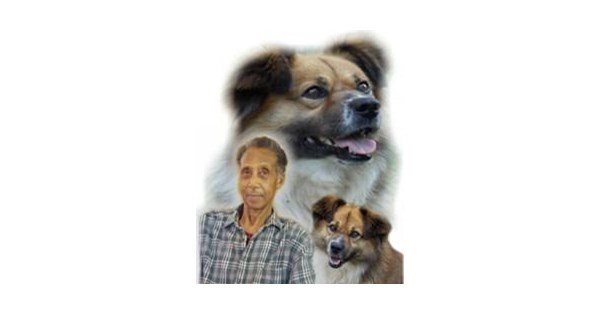 John Hendrix Obituary (1931 - 2013) - Legacy Remembers