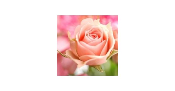 Maria Lugar Obituary (1929 - 2015) - Legacy Remembers
