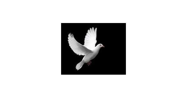 Frances Price Obituary (1957 - 2013) - Legacy Remembers