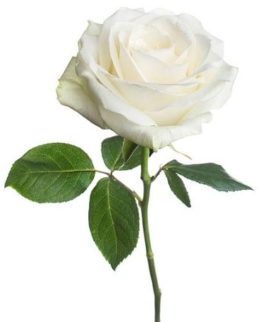 Colin Clow Obituary (2024) - Doncaster, Derbyshire - Doncaster Free Press