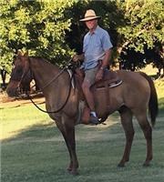 Harold Brooks Obituary (1949 - 2022) - Portales, NM - Eastern New ...