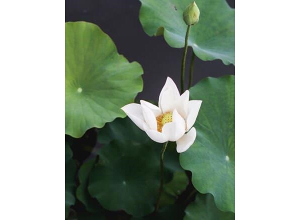 Kevin Karweck Obituary (1957 - 2025) - Waterloo, NY - Finger Lakes ...