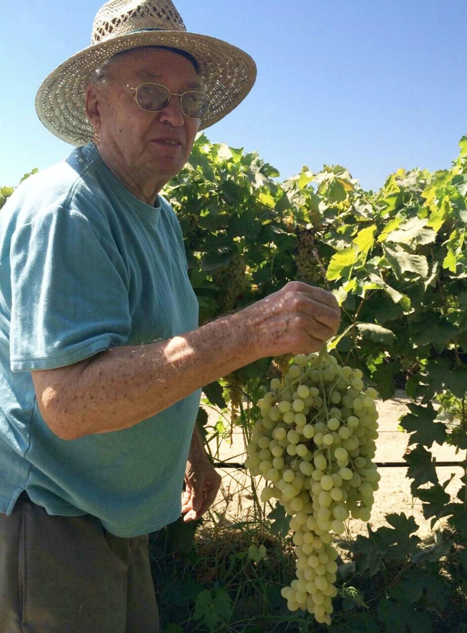 GERALD NELSON Obituary (2015) - Madera, CA - Fresno Bee