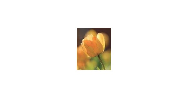 Linda Hackett Obituary (1953 - 2020) - Gladwin, MI - Gladwin County ...