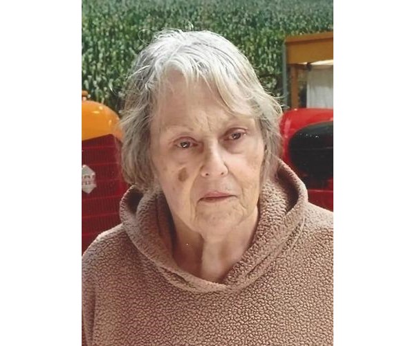Susan Droski Obituary (2023) - Grand Rapids, MI - Grand Rapids Press