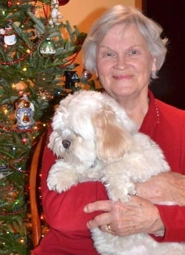 Ramute Dieterle Obituary (2023) - Legacy Remembers