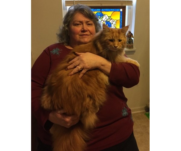 Sharon Kinsey Obituary (1949 - 2022) - Huntington, IN - The Herald-Press