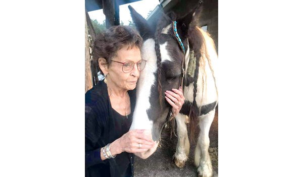 Sharron Thompson Obituary (2020) - Harrison, AR - Harrison Daily Times