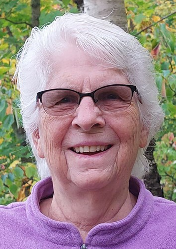 Carol Beal Obituary (2023) - Berrien Springs, MI - The Herald-Palladium