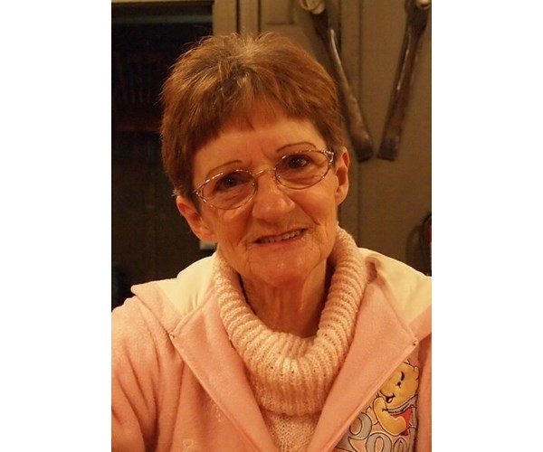 Susan McNew Obituary (1946 - 2023) - Buchanan, MI - The Herald-Palladium