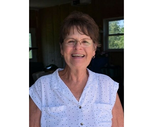 Frances Lewis Obituary (1947 - 2025) - Lincoln, NE - Lincoln Journal Star
