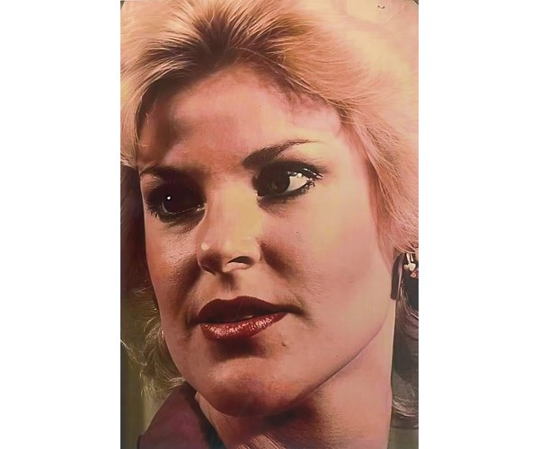 Sharon Davidson Obituary (2026) - Wentzville, MO - Kane County Chronicle