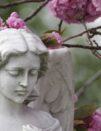 Sally Turkson Obituary (2026) - Pittston, PA - Graziano Funeral Home ...