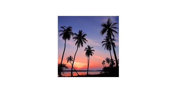 Christopher Charles Eckert Obituary (2025) - Aurora, CO - Abbott ...