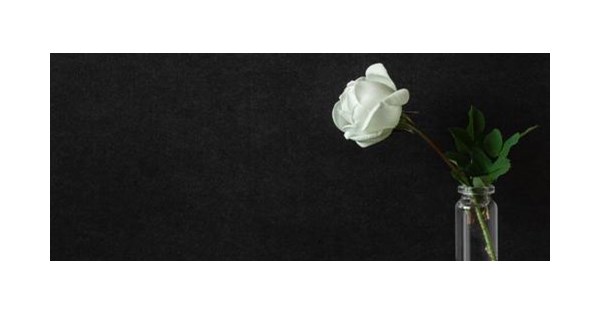 Karen Marie Sawicki Obituary (2024) - Milwaukee, WI - Bruskiewitz ...